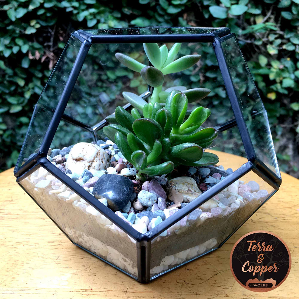 Geode Design Medium Copper Frame Terrarium - Black | Giftr - Malaysia's ...