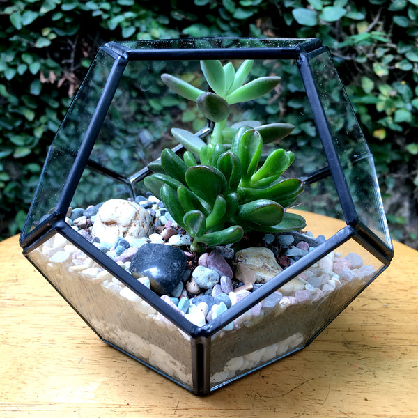 Geode Design Medium Copper Frame Terrarium - Black | Giftr - Malaysia's ...