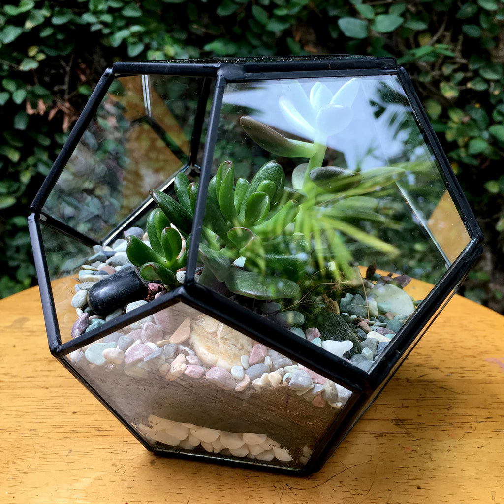 Geode Design Medium Copper Frame Terrarium - Black | Giftr - Malaysia's ...
