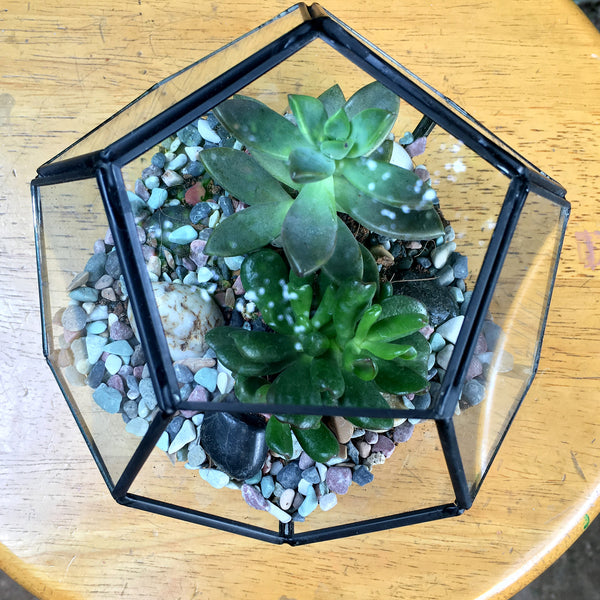 Geode Design Medium Copper Frame Terrarium - Black | Giftr - Malaysia's ...