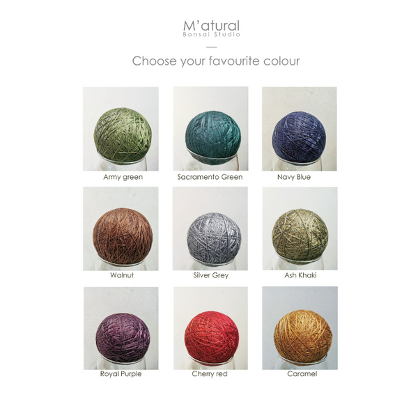 Asparagus Fern 'Setaceus' Kokedama - Ornamental Plant (Nationwide Deli ...