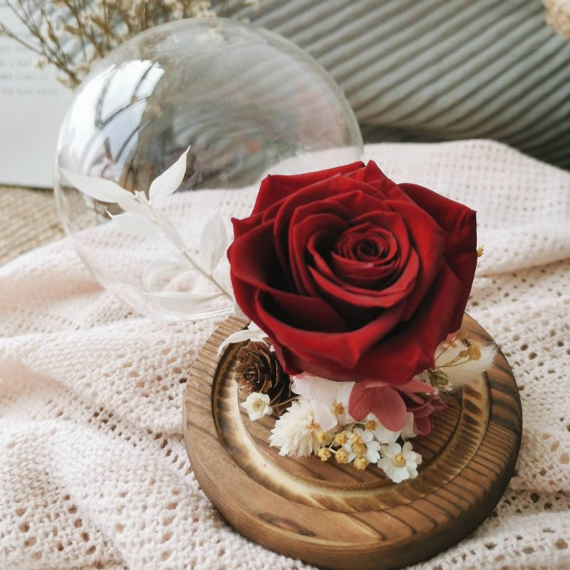 Everlasting Love (Preserved Flower Globe) | ( Klang Valley Delivery On ...